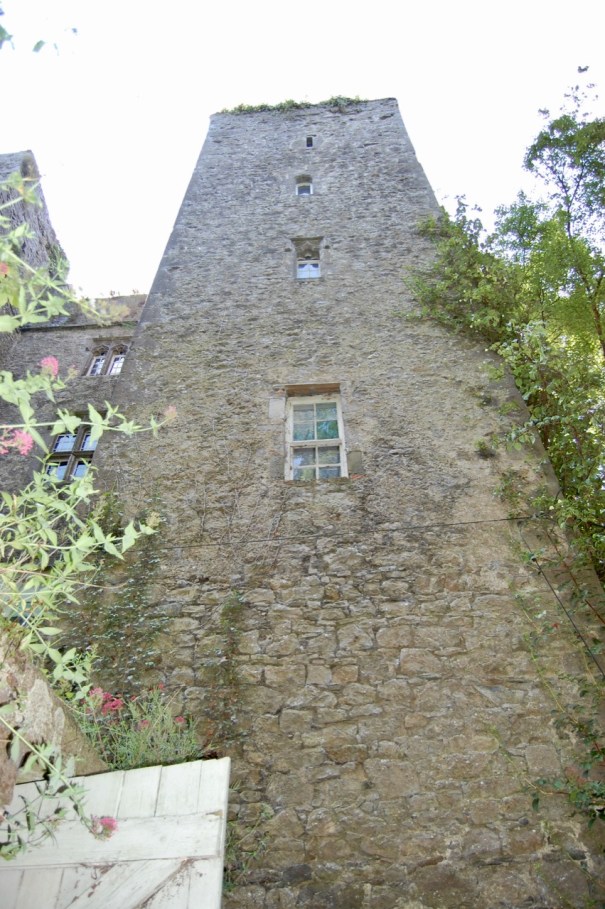 Dardistown Castle, County Meath A92 Y9N6 – section 482 – Irish Historic ...