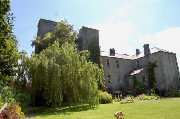 Dardistown Castle, County Meath A92 Y9N6 – section 482 – Irish Historic ...