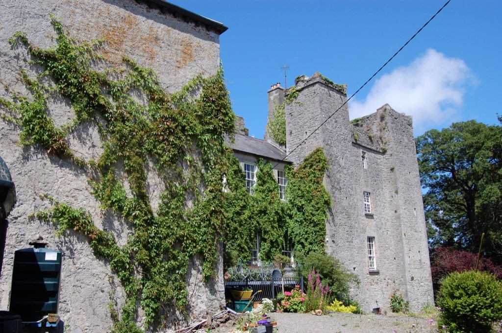 Dardistown Castle, County Meath A92 Y9N6 – section 482 – Irish Historic ...