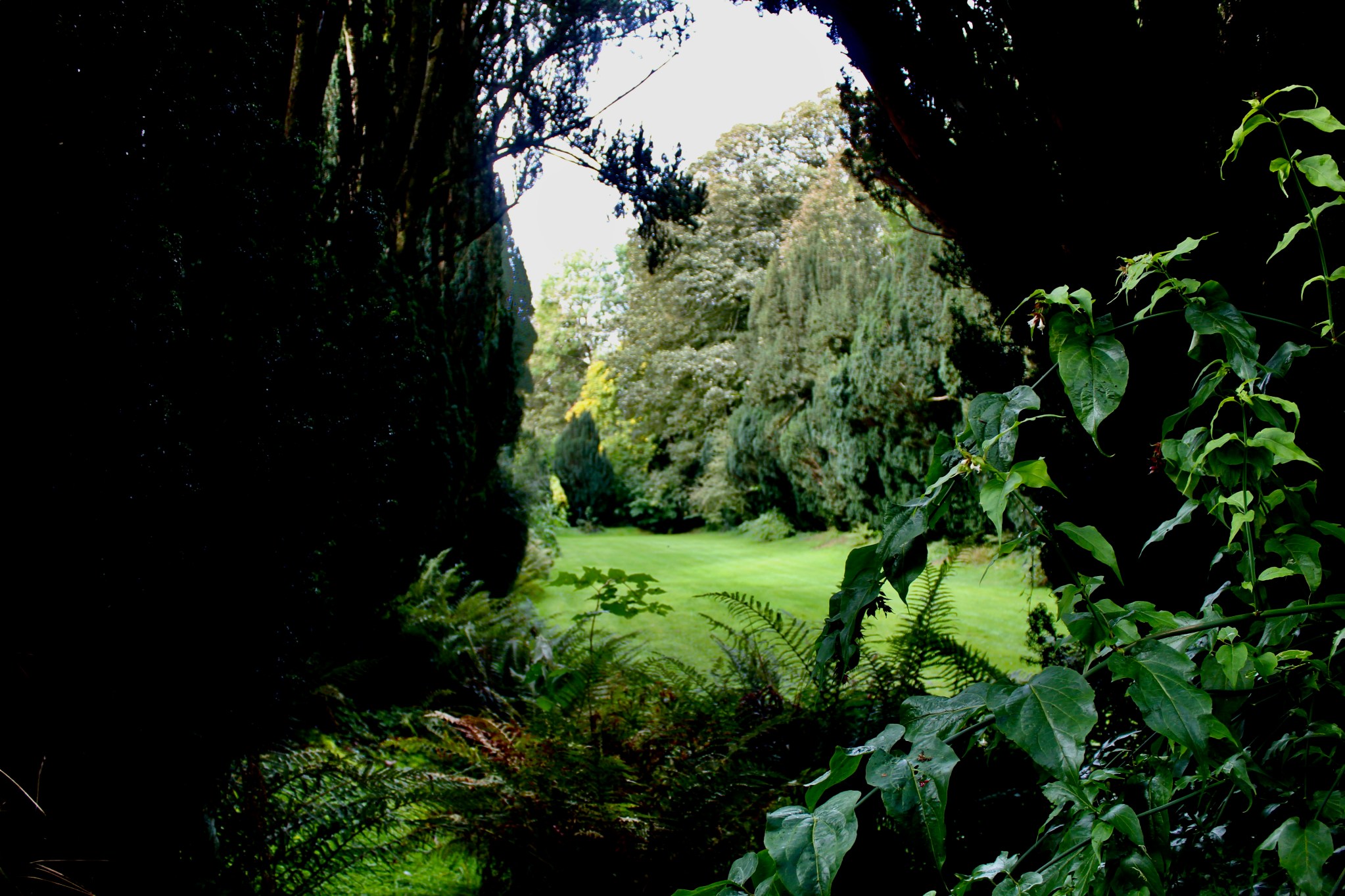 Barmeath Castle, Dunleer, Drogheda, County Louth A92 P973 – section 482 ...