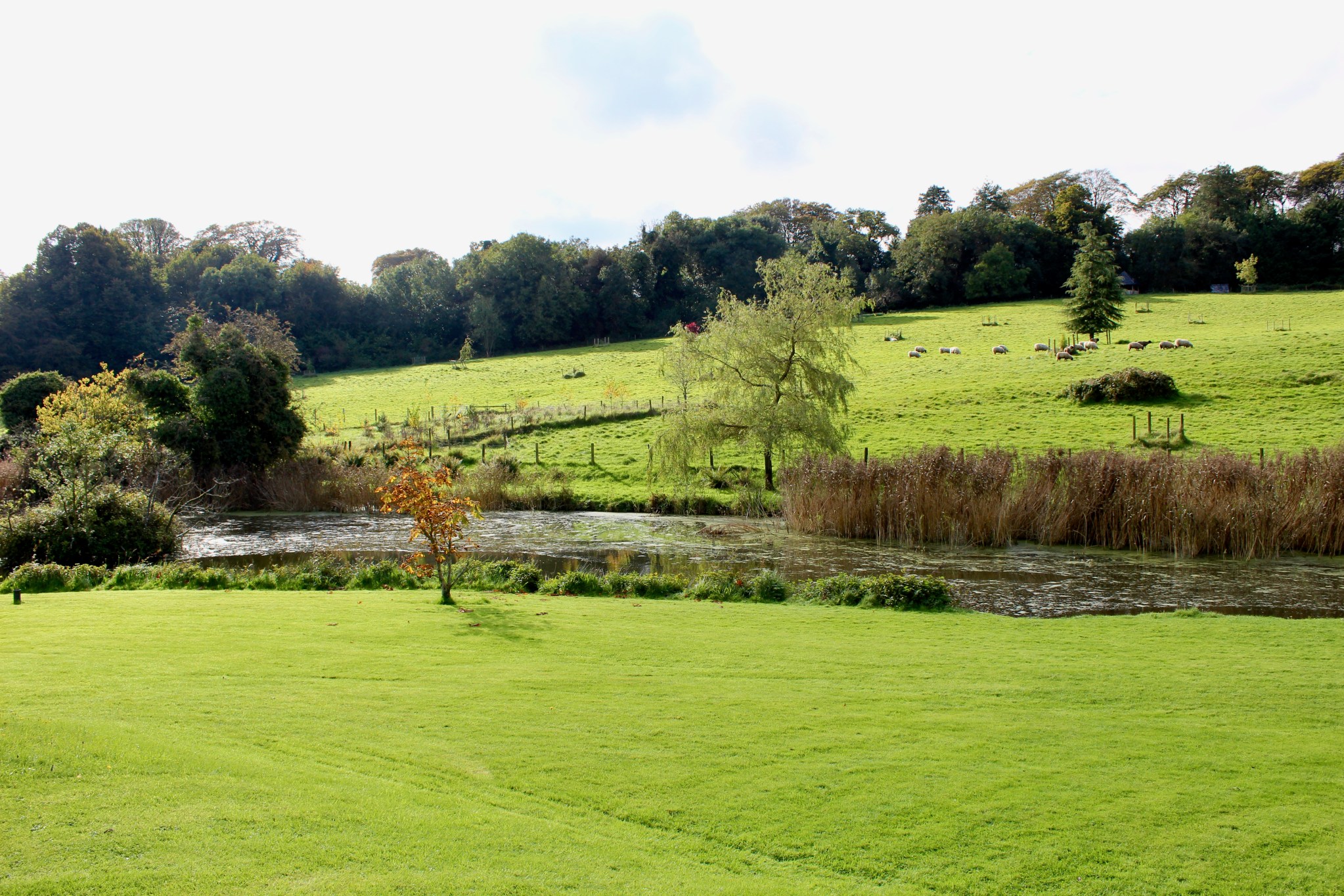 Barmeath Castle, Dunleer, Drogheda, County Louth A92 P973 – section 482 ...