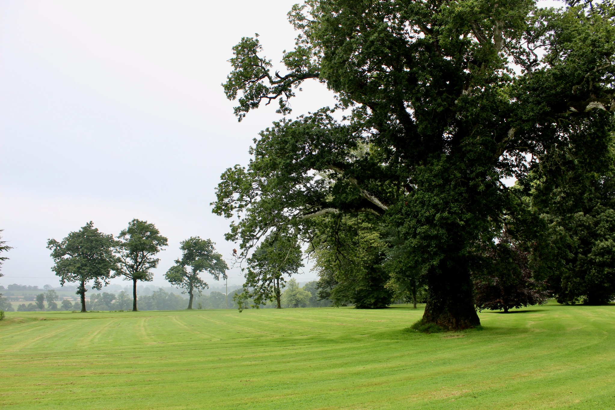 Roche, Edmond Burke (1815-1874) 1st Baron Fermoy – Irish Historic Houses