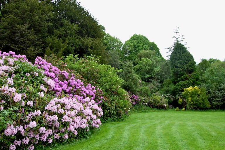 Altidore Castle, Kilpeddar, Greystones, County Wicklow A63 X227 ...