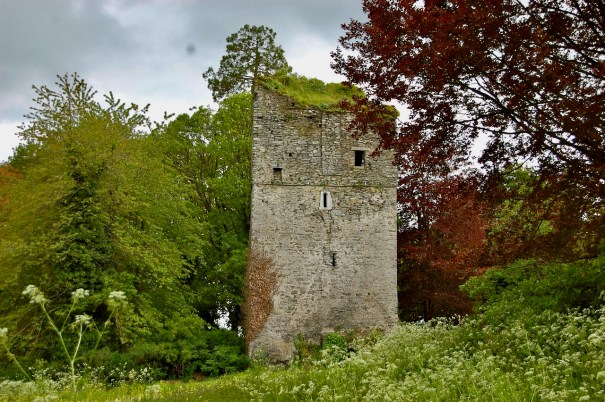 Moone Abbey House and Tower, Moone, County Kildare R14 XA40 – section ...