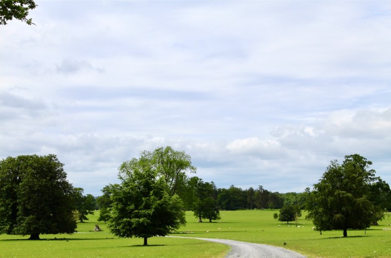 Stradbally Hall, Stradbally, Co. Laois – section 482 – Irish Historic ...