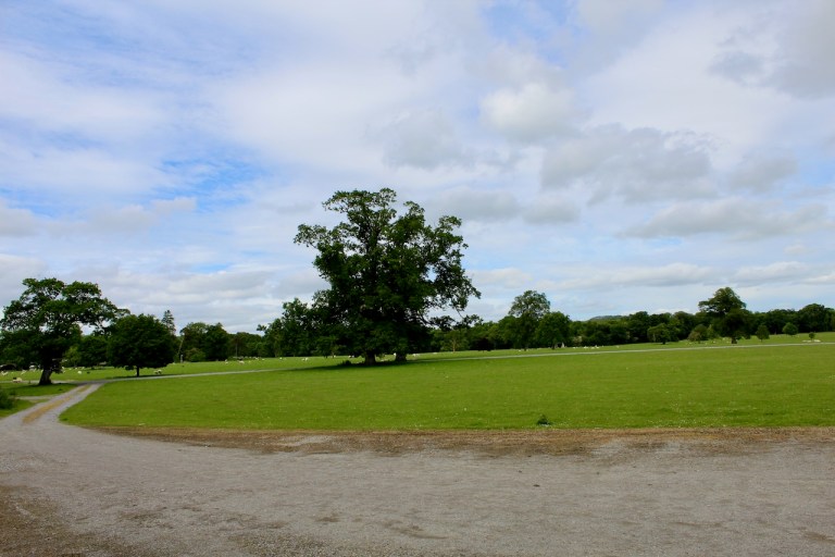 Stradbally Hall, Stradbally, Co. Laois – section 482 – Irish Historic ...