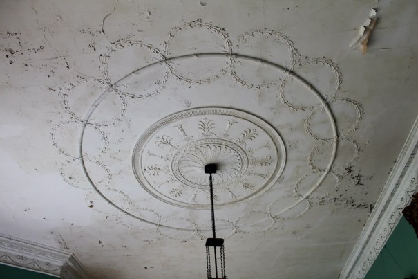 Stradbally Hall, Stradbally, Co. Laois – section 482 – Irish Historic ...