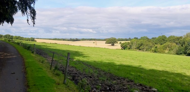 Rokeby Hall, Grangebellew, County Louth A92 HX52 – section 482 – Irish ...