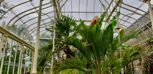 Rokeby Hall, Grangebellew, County Louth A92 HX52 – section 482 – Irish ...