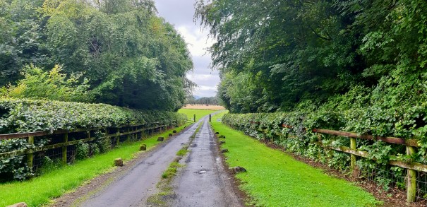 Davis, Whitmore (architect) – Irish Historic Houses