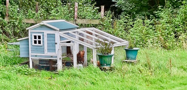 Davis, Whitmore (architect) – Irish Historic Houses