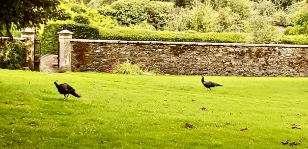 Davis, Whitmore (architect) – Irish Historic Houses