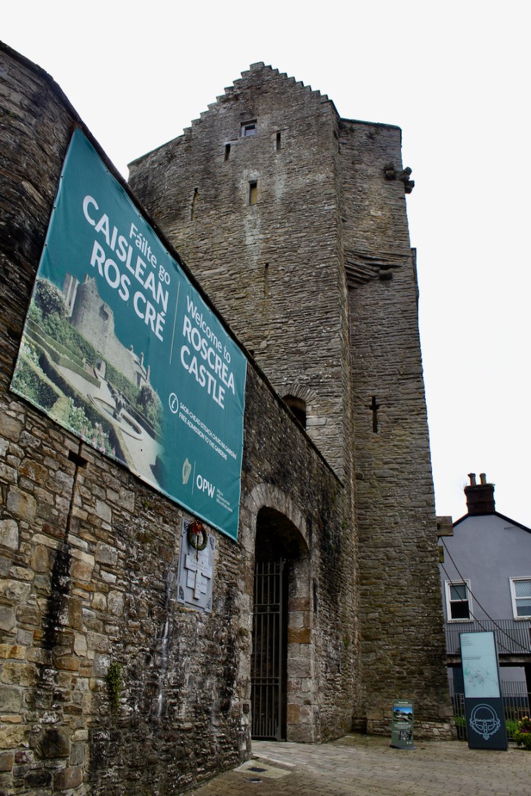 Damer House and Roscrea Castle, County Tipperary, Office of Public ...