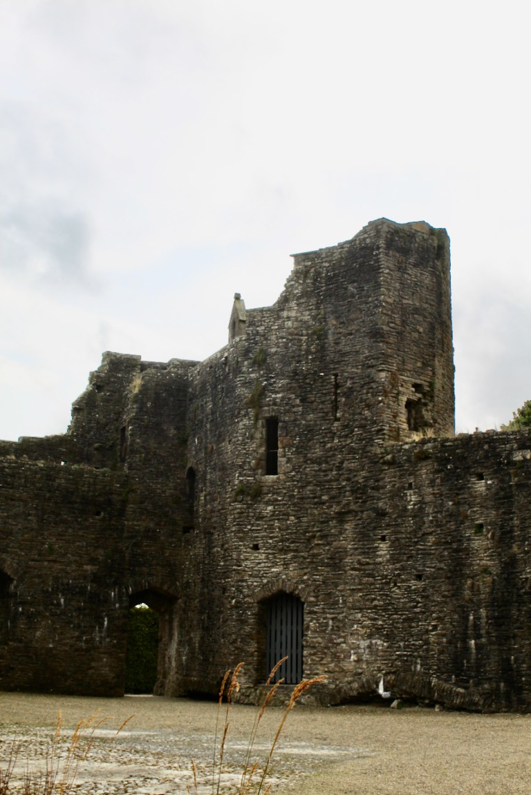 Damer House and Roscrea Castle, County Tipperary, Office of Public ...