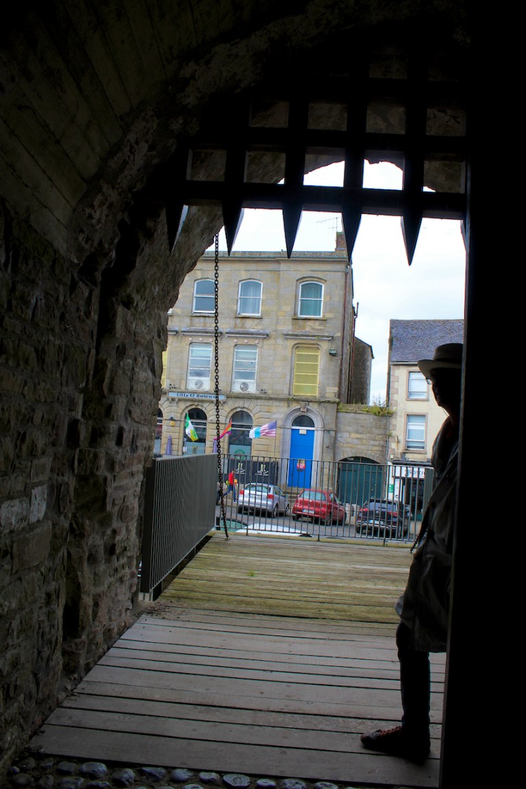 Damer House and Roscrea Castle, County Tipperary, Office of Public ...