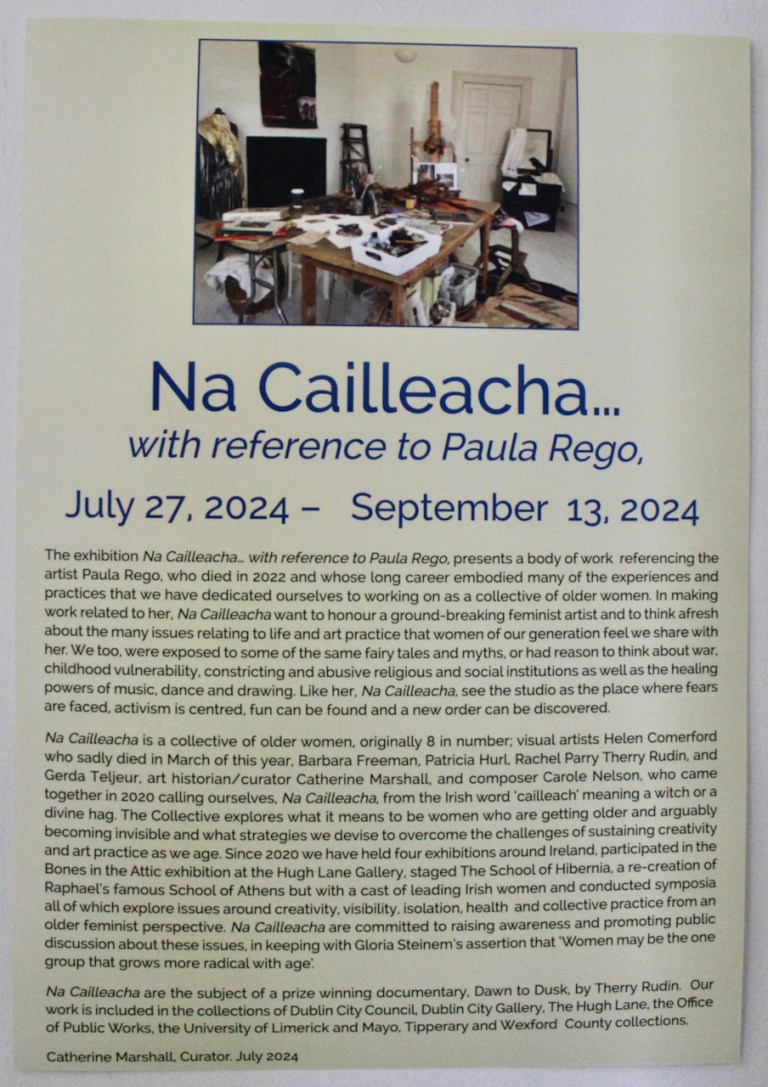 Damer House and Roscrea Castle, County Tipperary, Office of Public ...