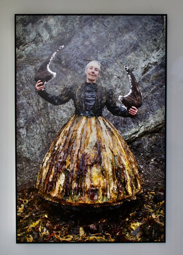 Damer House and Roscrea Castle, County Tipperary, Office of Public ...